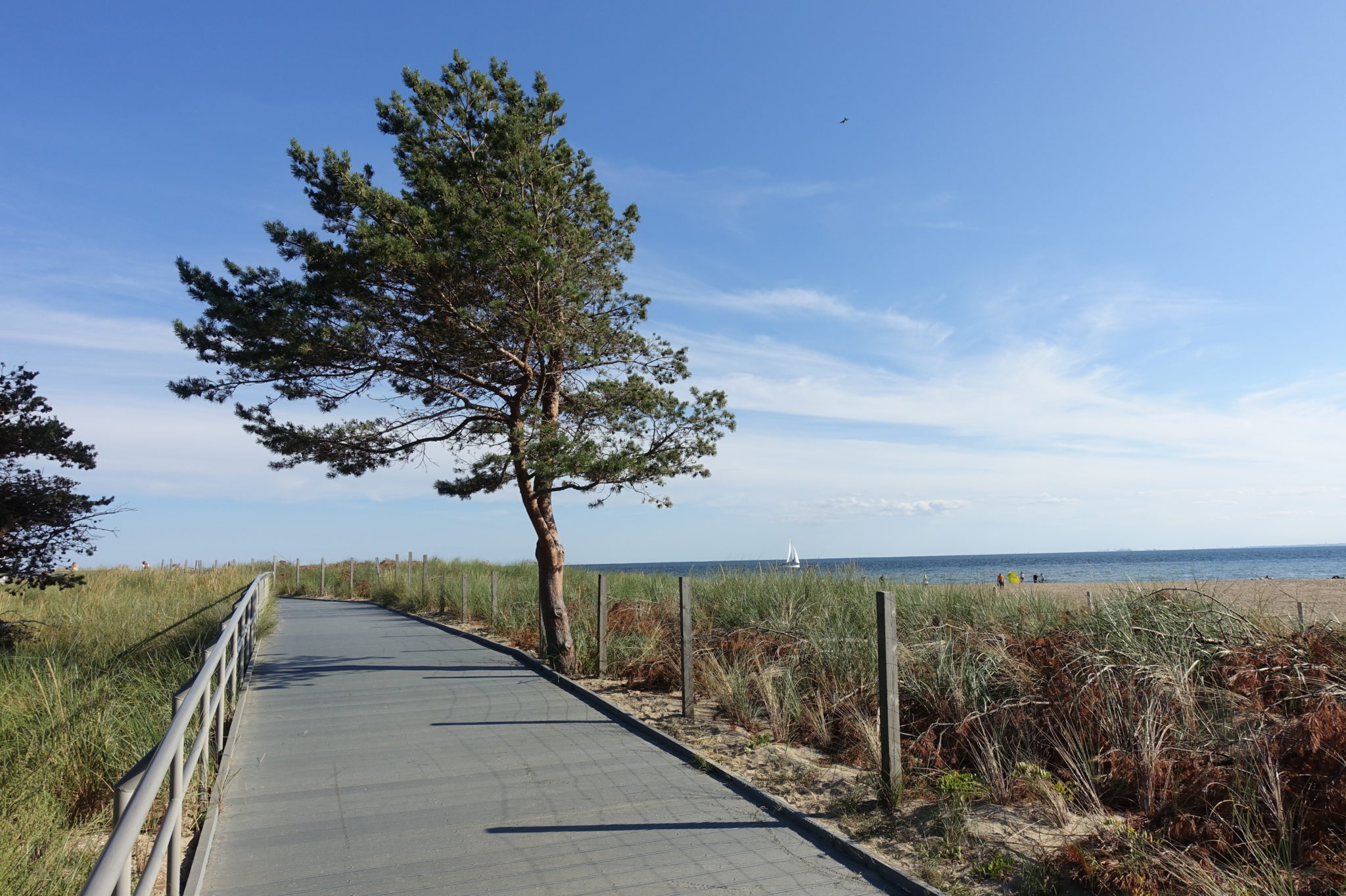 Hel w 1 dzień - atrakcje, zwiedzanie. Co zobaczyć na Helu?